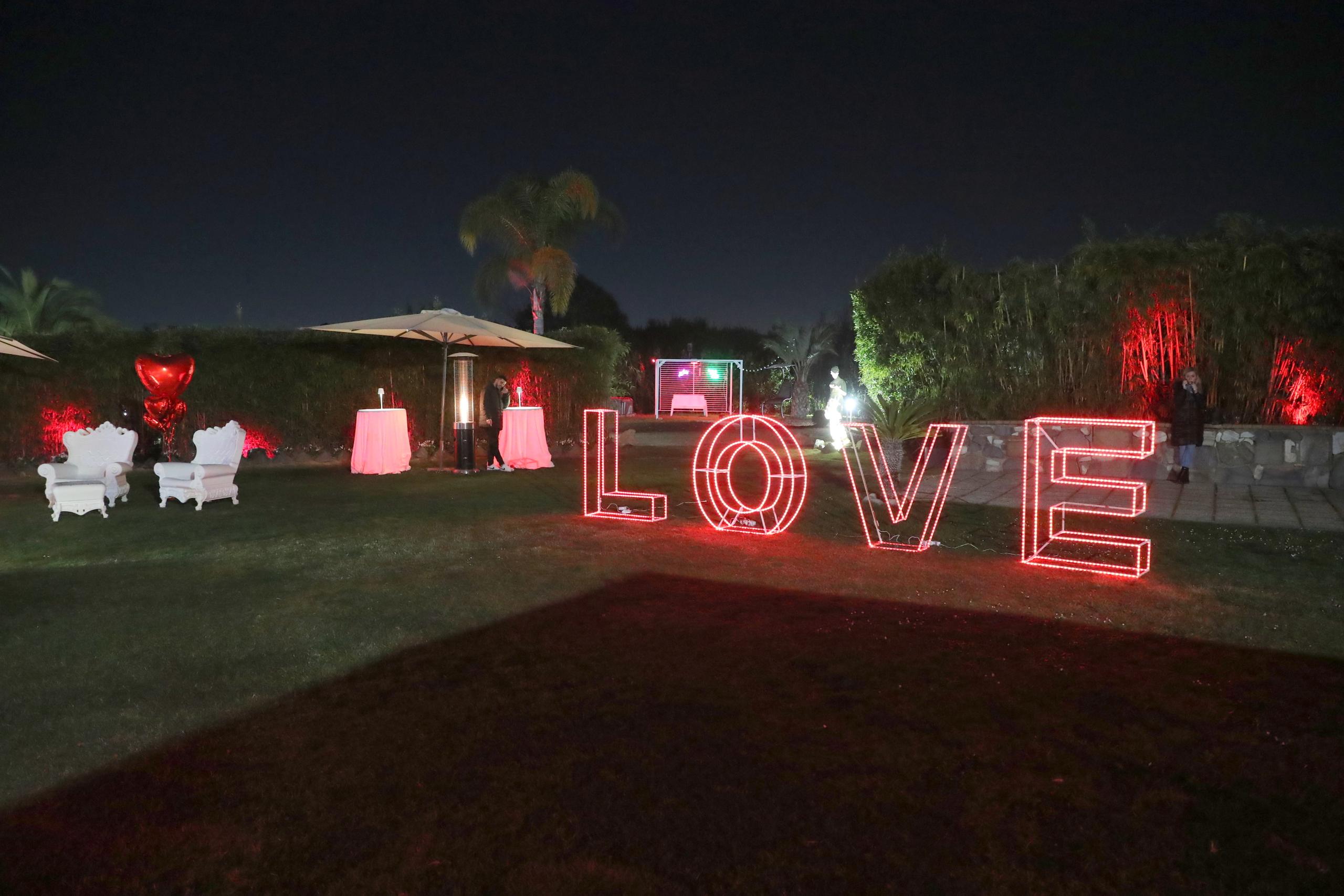 Home Page [www.domusmavi.com]