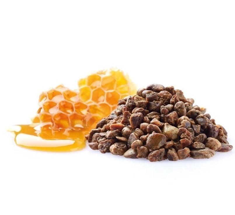 Vendita miele all'ingrosso Italia