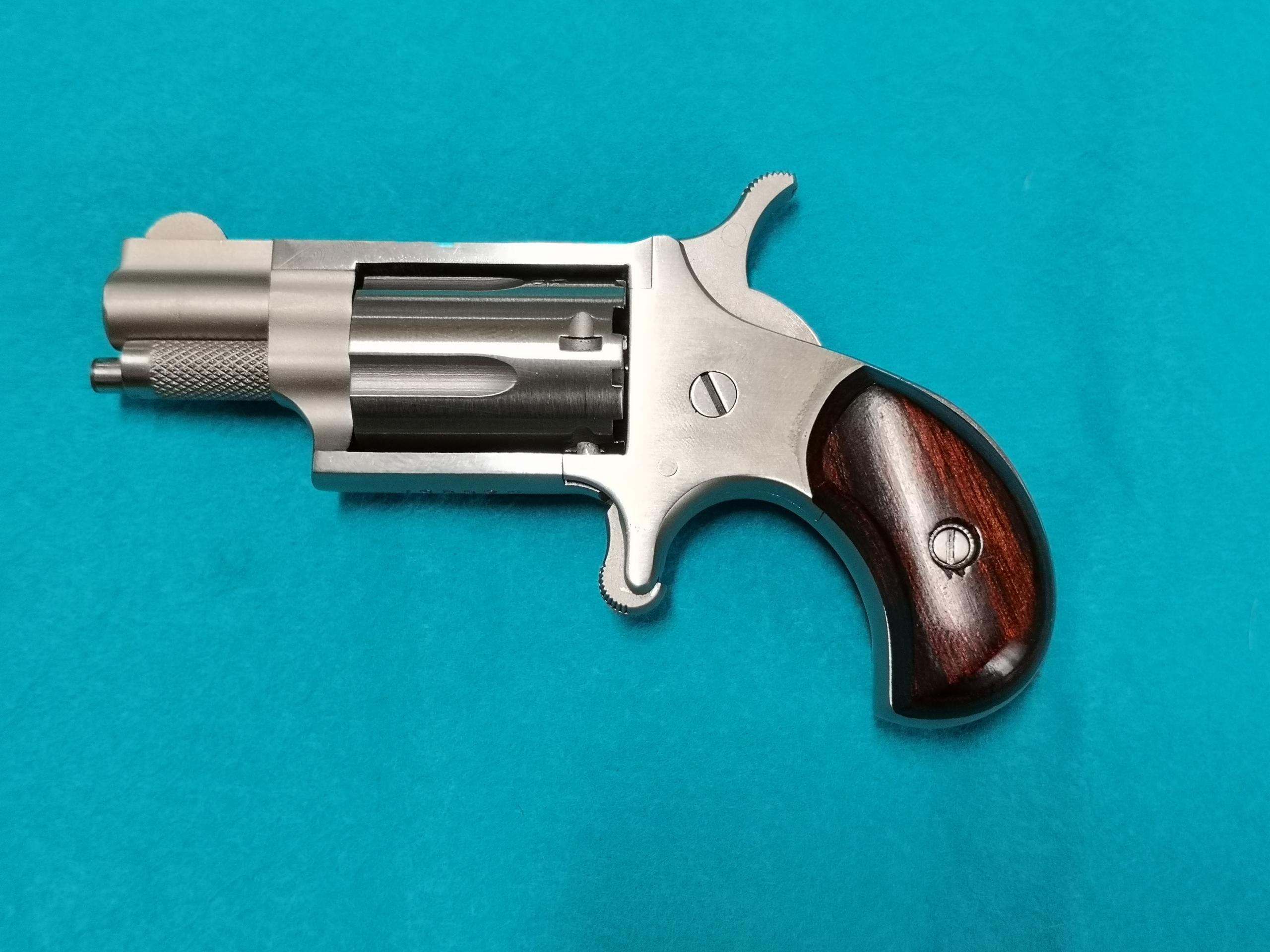 NAA 22 Mini Derringer Stainless .22 LR