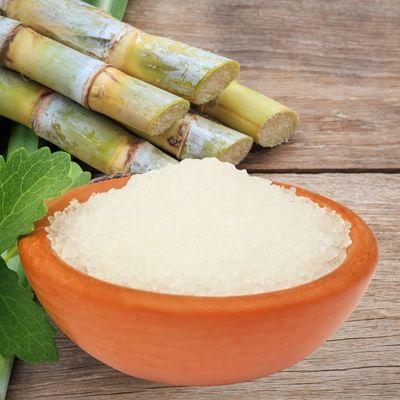 Home [www.eliantuscorporation.com]