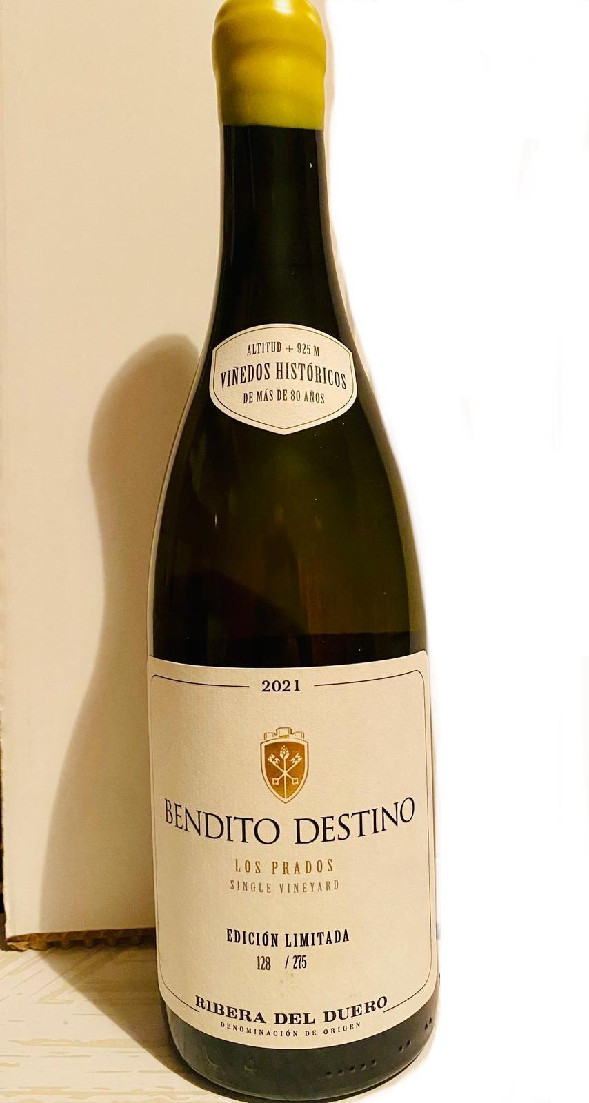 Bendito Destino