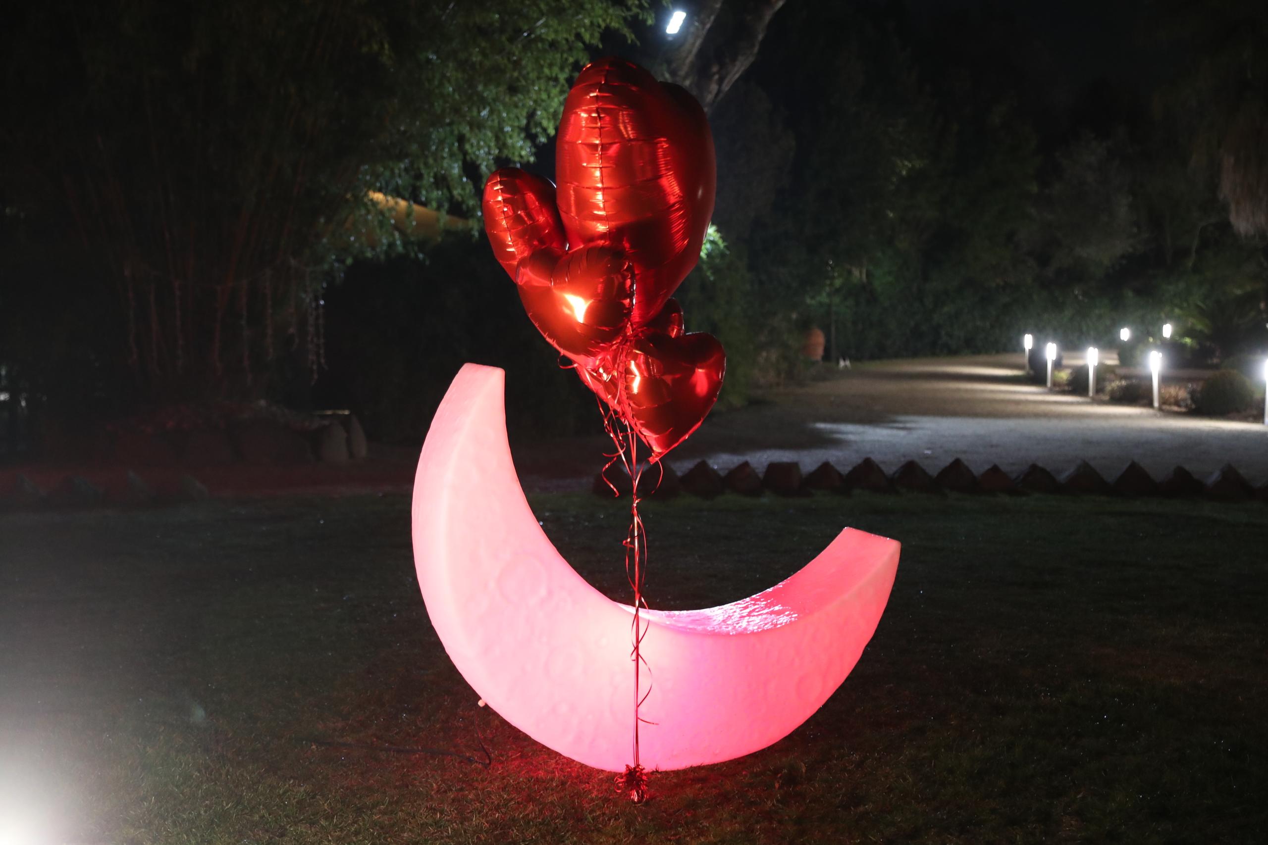 Home Page [www.domusmavi.com]