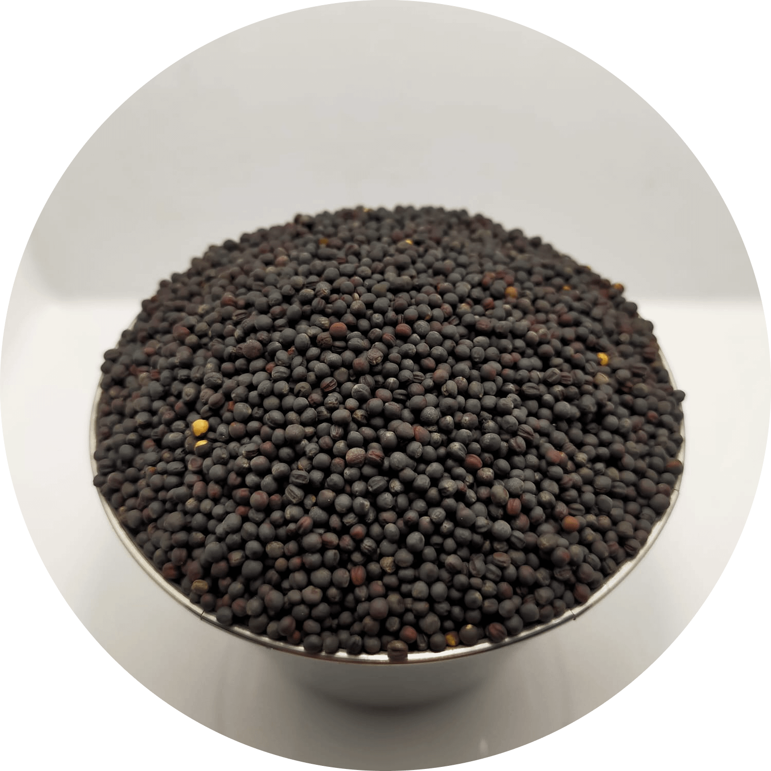 Riempimento - Imbottitura naturale per Cuscini - MoRoArLo