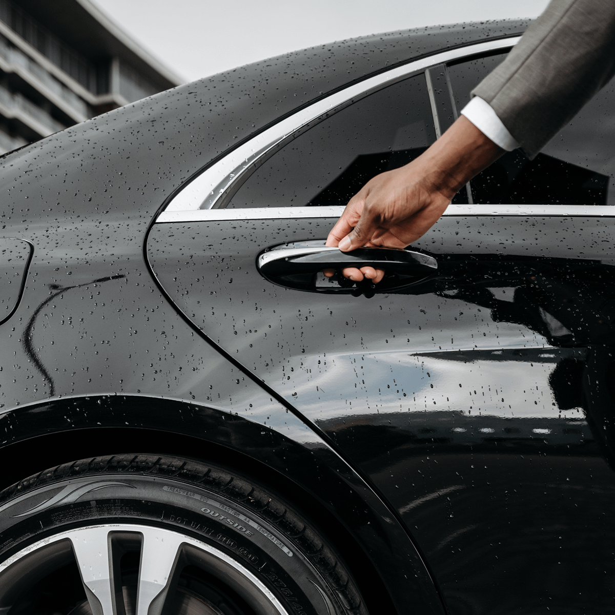 Home Page [www.thehousebunch.it]